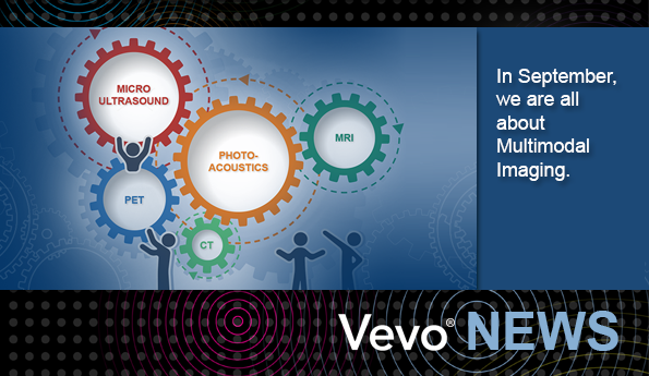 Vevo News Issue 9 - Multimodality Imaging For Complementary Data