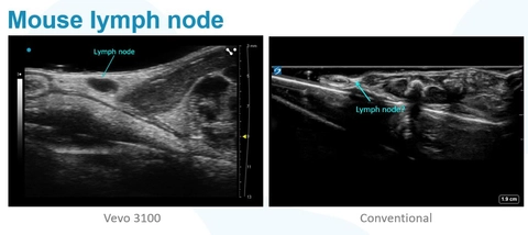 Mouse lymph node - Vevo 3100 vs. Conventional | FUJIFILM VisualSonics